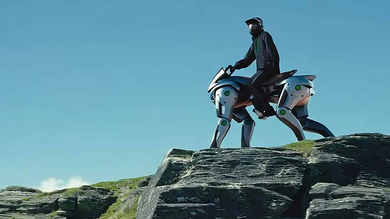 Java Workflow Engine for Distributed Systems and Unique Animal News